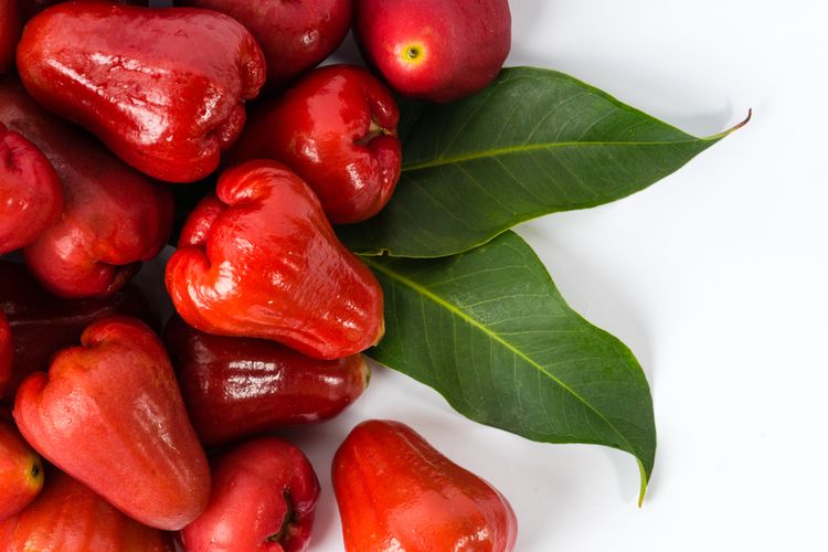 3 Tips Menyimpan Jambu Air Agar Tidak Busuk Dengan Mudah