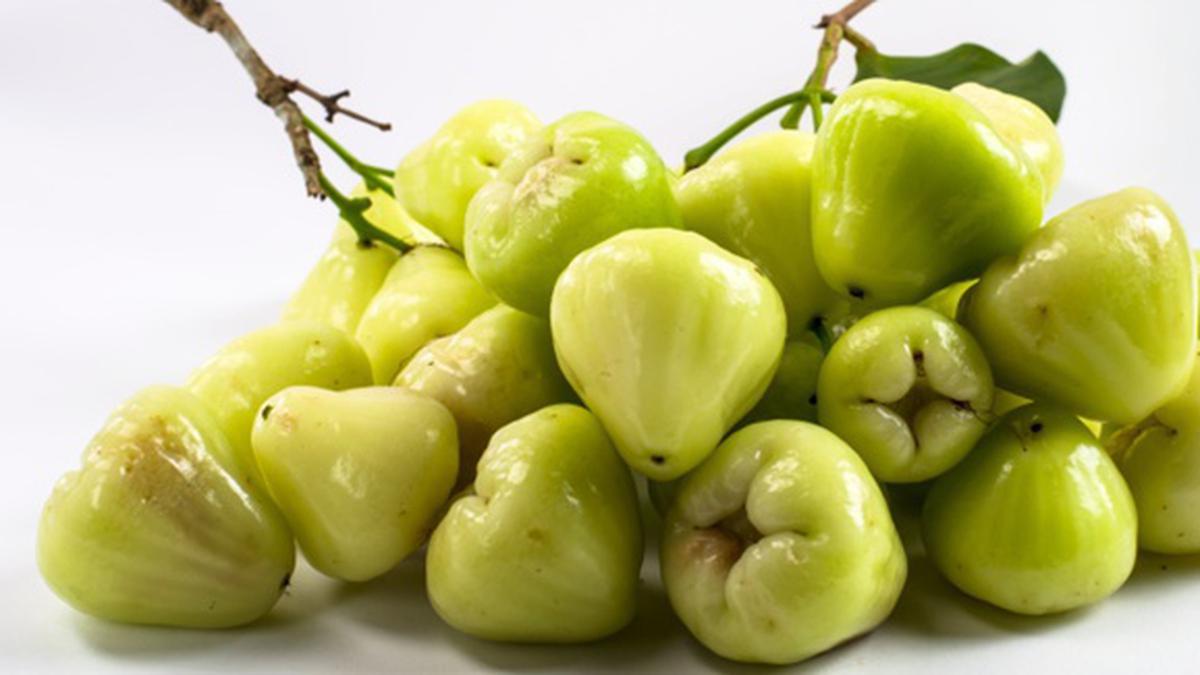 5 Cara Menyimpan Jambu Air Agar Tahan Lama Tak Mudah Busuk